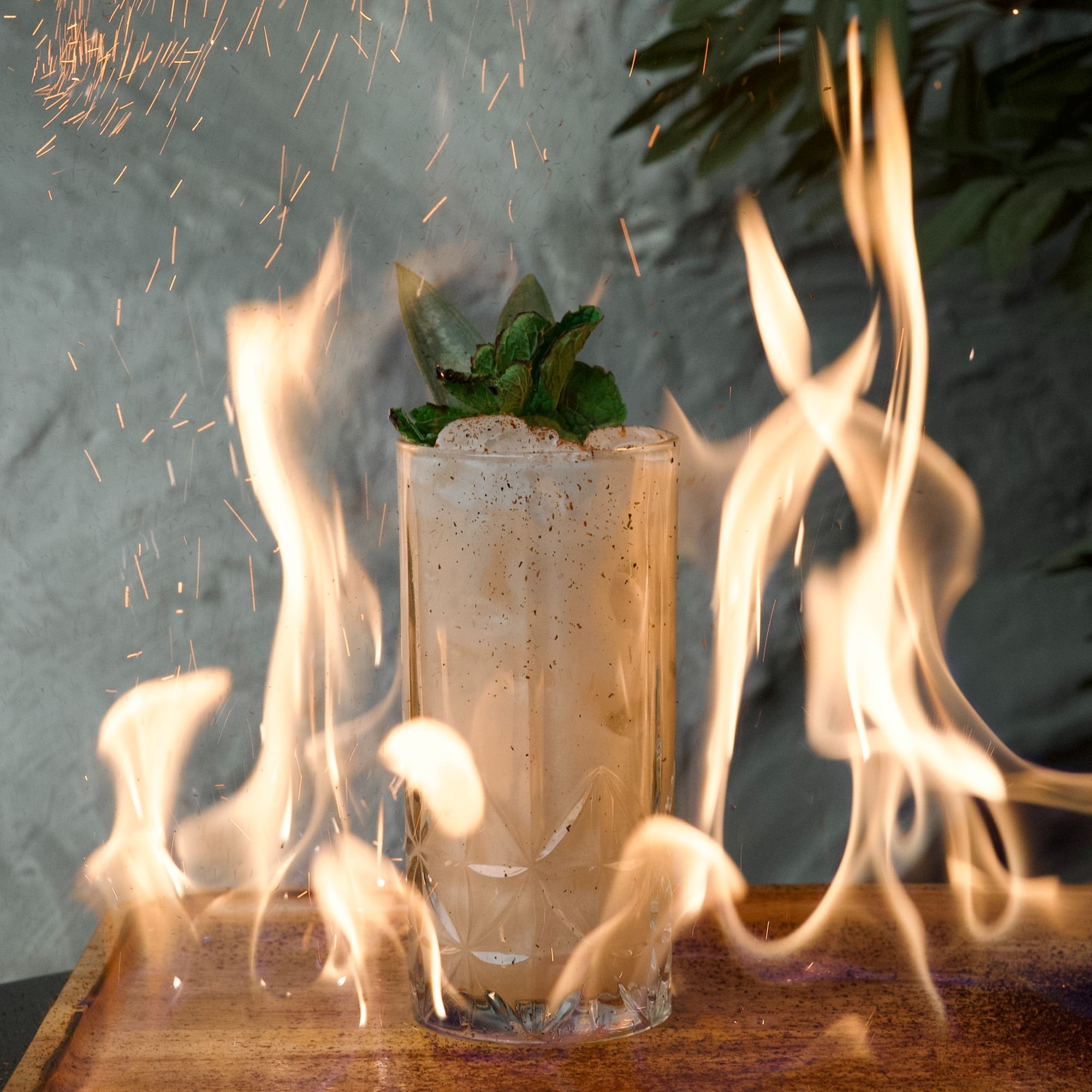 Tago Houston | Tropical Coastal Cuisine & Lounge in Midtown